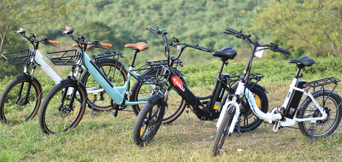 Kaisda Ebike | Innovative Electric Bikes for Commuting and Leisure – kaisda